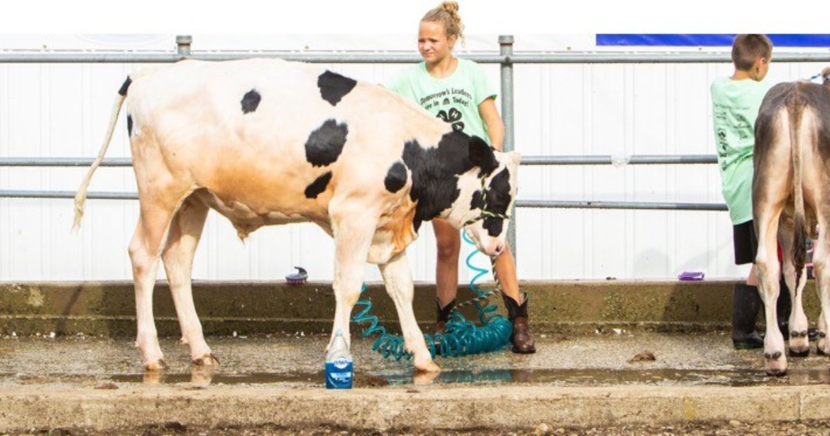 4-H | Stark County Jr Fair 4-H